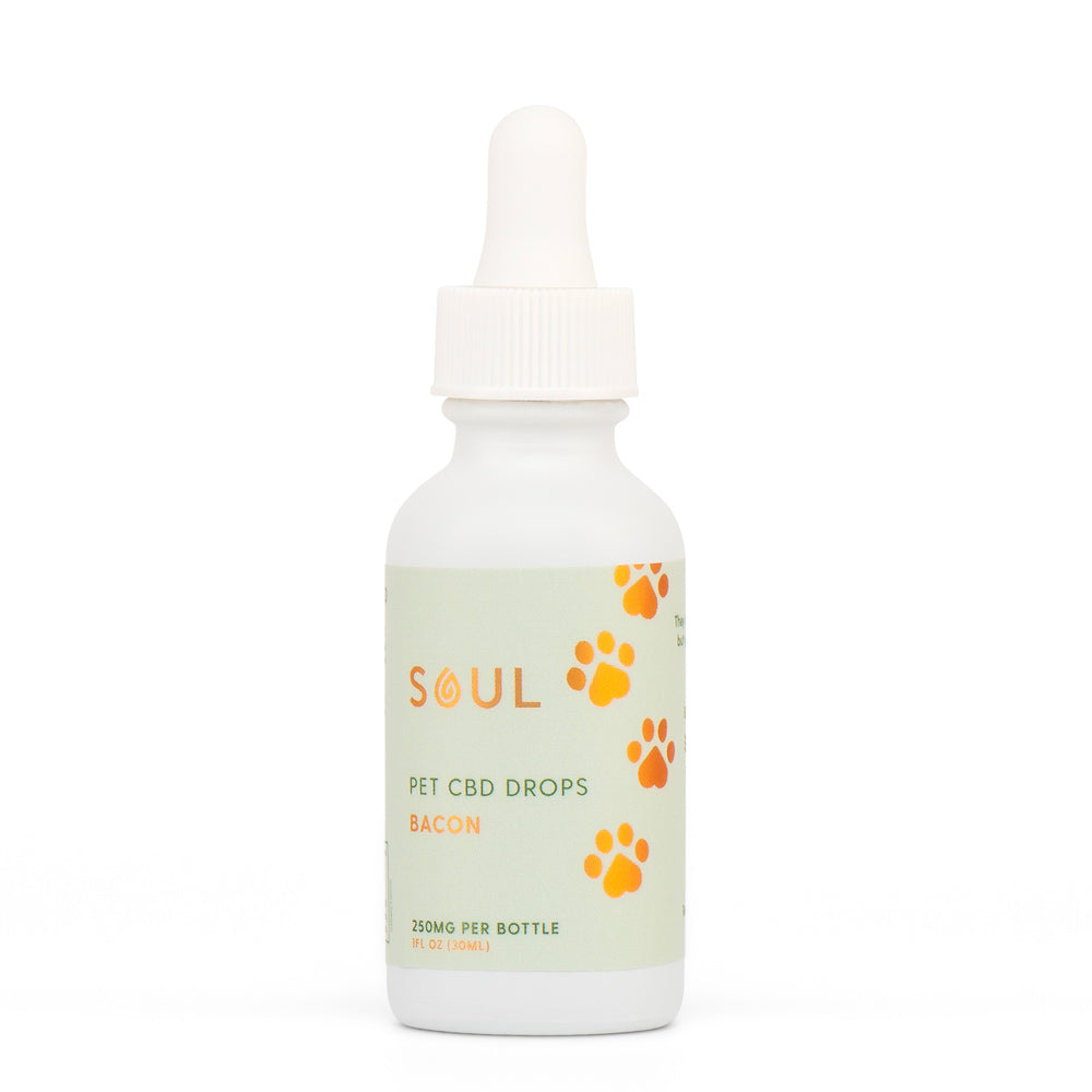 Wellness Supplements For Pets Soul Wellness Supplements For Pets Soul
